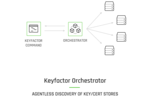 The Importance of Certificate Discovery | Keyfactor