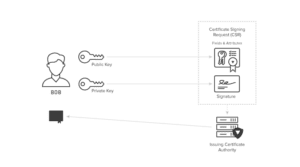 What is PKI? A Public Key Infrastructure Definitive Guide | Keyfactor