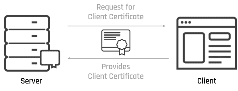 How Many Types of Digital Certificates Are There?