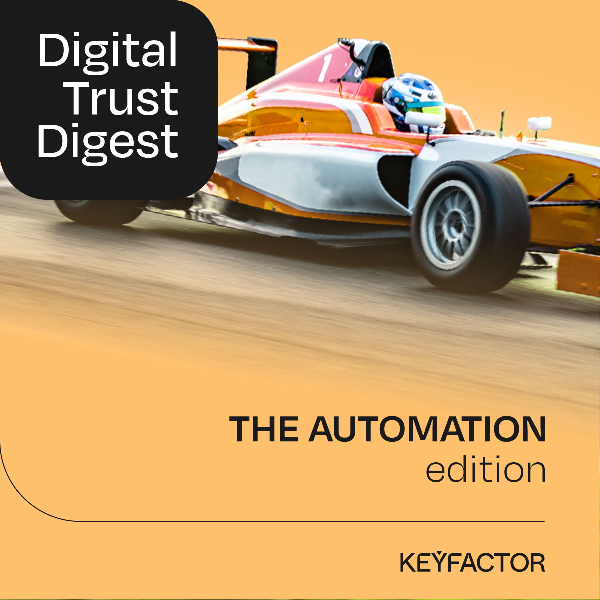 Explore the Magazine: Digital Trust Digest